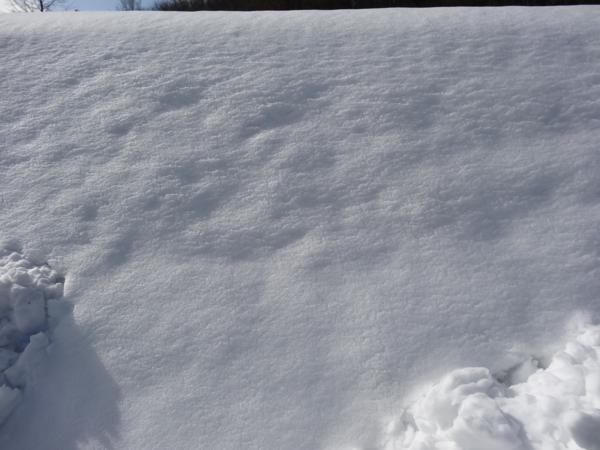 weisserstein.info - Schneebericht